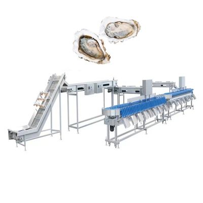 Stable Performance Fish Processing Machine Crawfish Oyster Sorting Machine